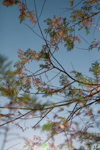 LA TERRA eco-resort – LA TERRA公式ホームページ